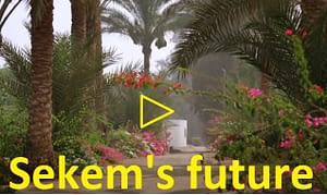Sekem farm - Egypt - OurEarth